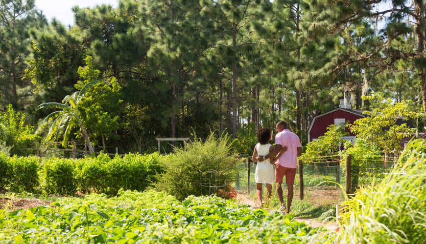 Green Resorts in Orlando | Conservation Efforts | Grande Lakes Orlando