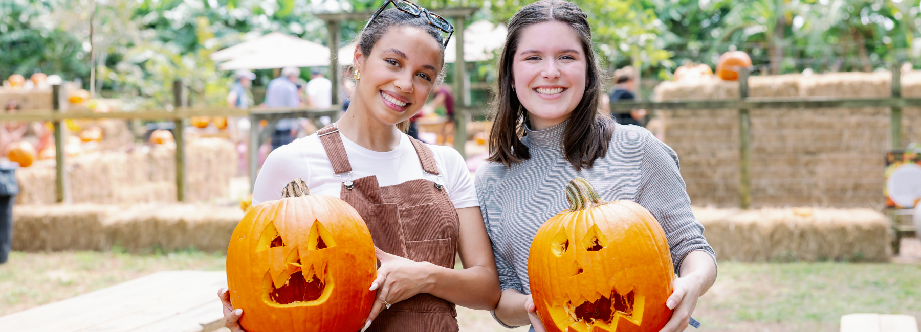 Fall Itineraries Orlando | Grande Lakes Orlando