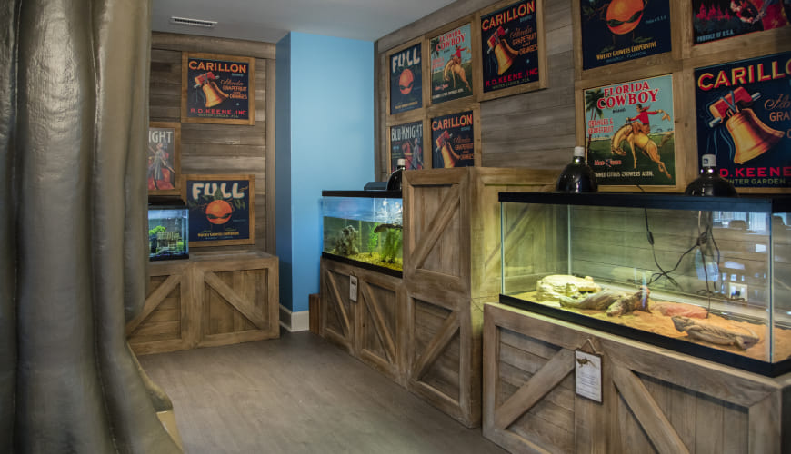 Retrieving data. Wait a few seconds and try to cut or copy again.